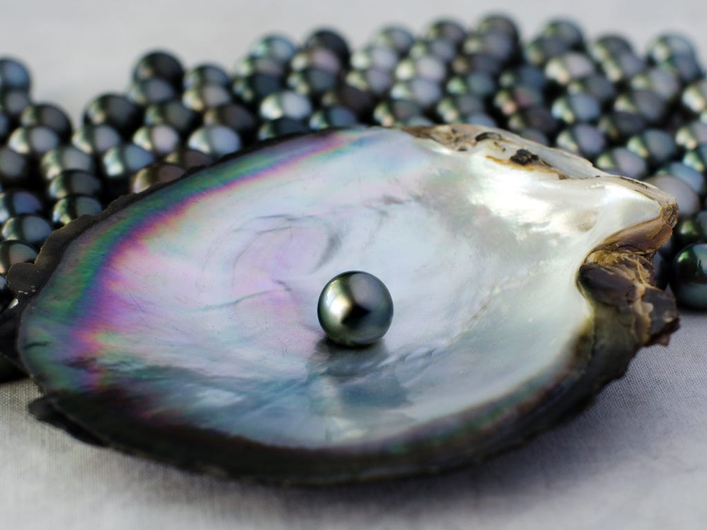 Iridescence: a Color Phenomenon - Color Insider