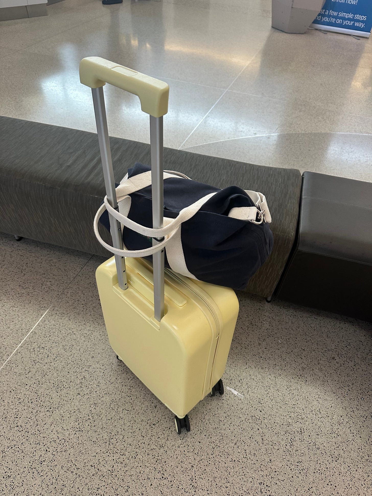 bookbear express | Ava | Substack