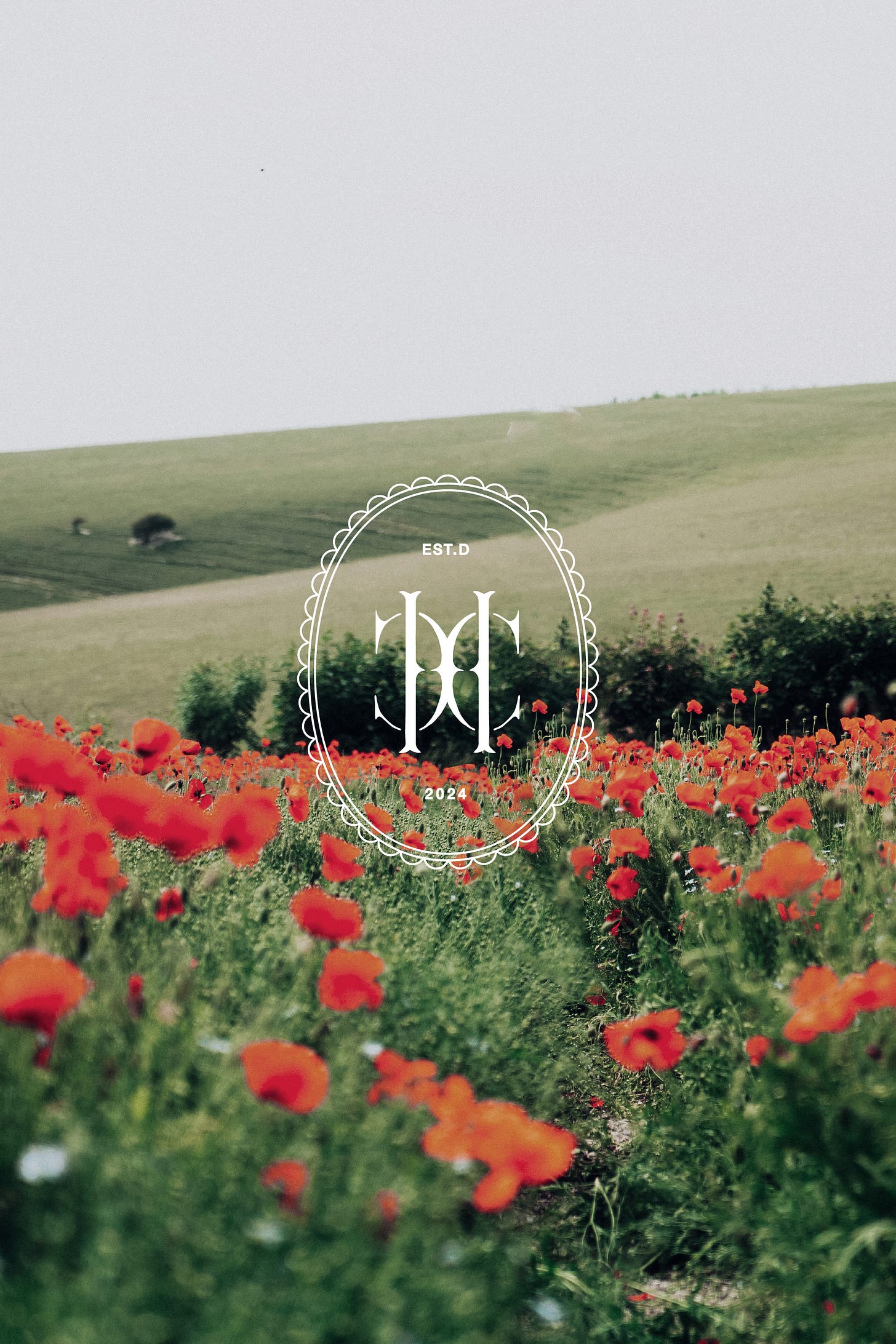 Watch Me Design a European Garden Party-Inspired Monogram