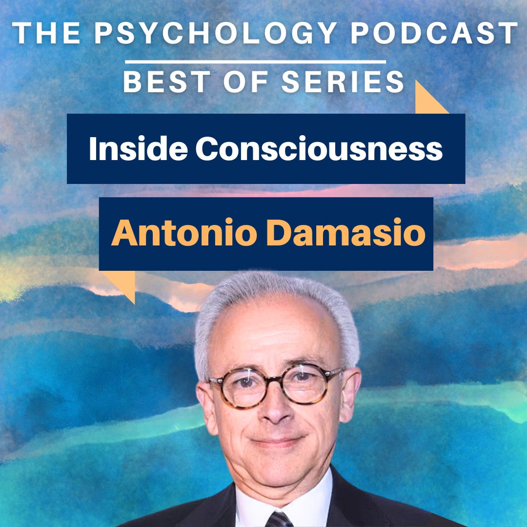 Inside Consciousness - by Scott Barry Kaufman