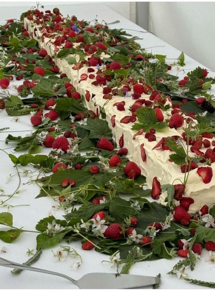 Single Layer Cake~ AKA "The Love layer" - OR ELOPE