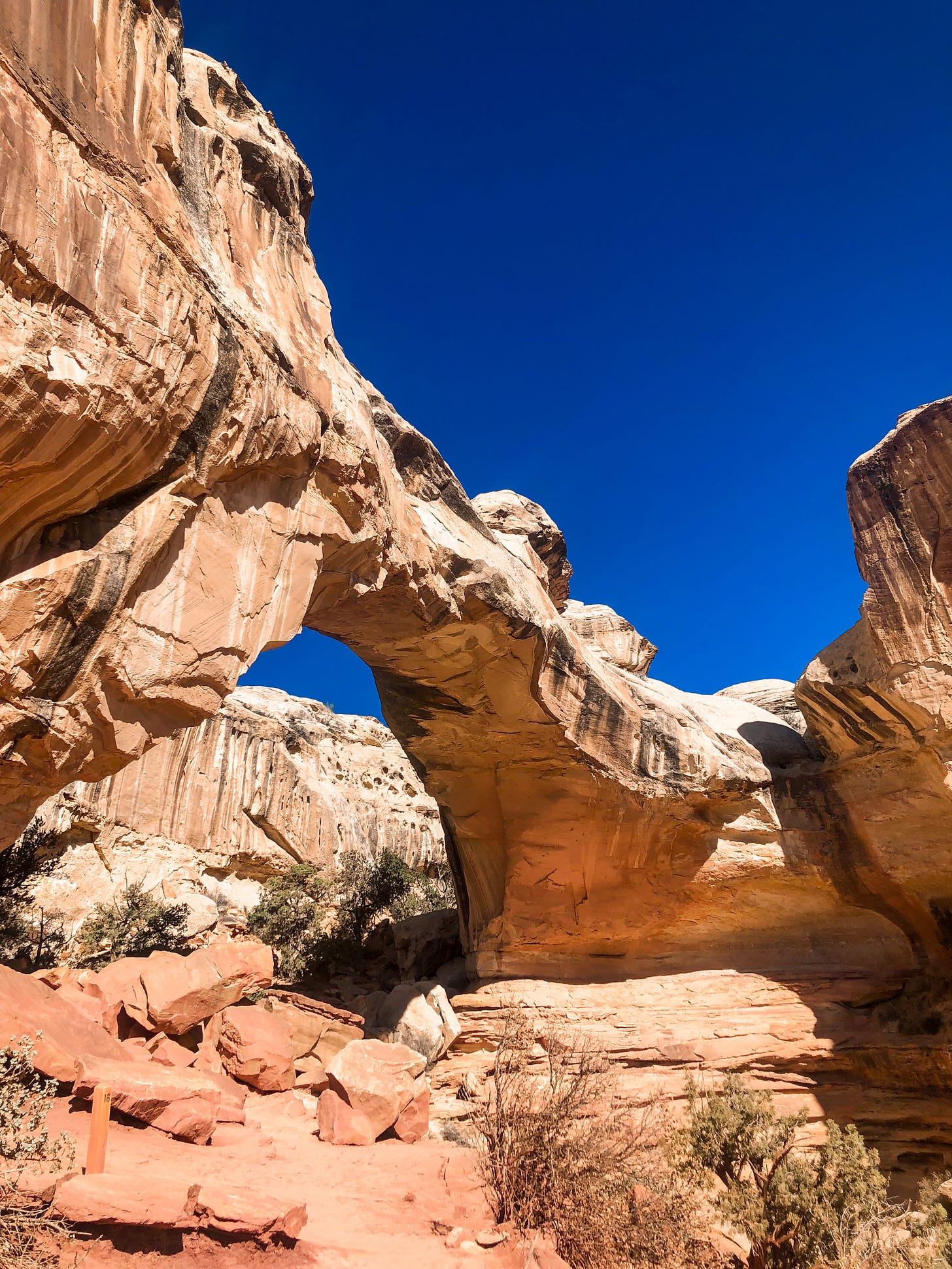 Utah National Parks Road Trip Itinerary - maura’s substack