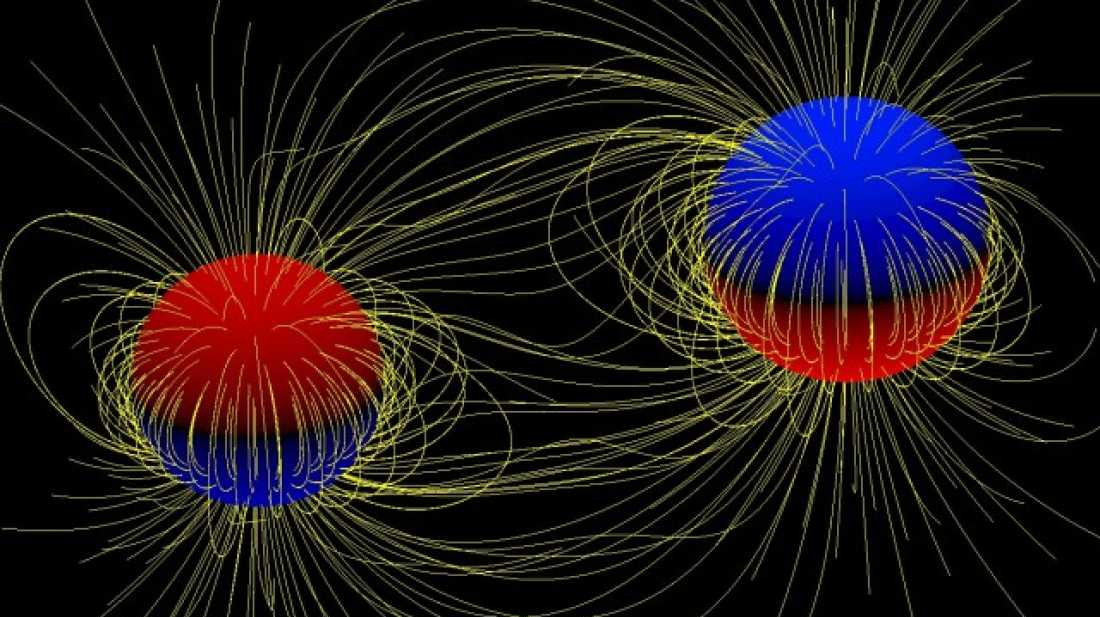 Terral Answers Lindsay's Black Star and Survival Group-related Questions