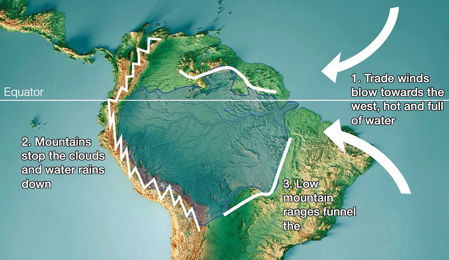 The Amazon Rainforest - by Tomas Pueyo