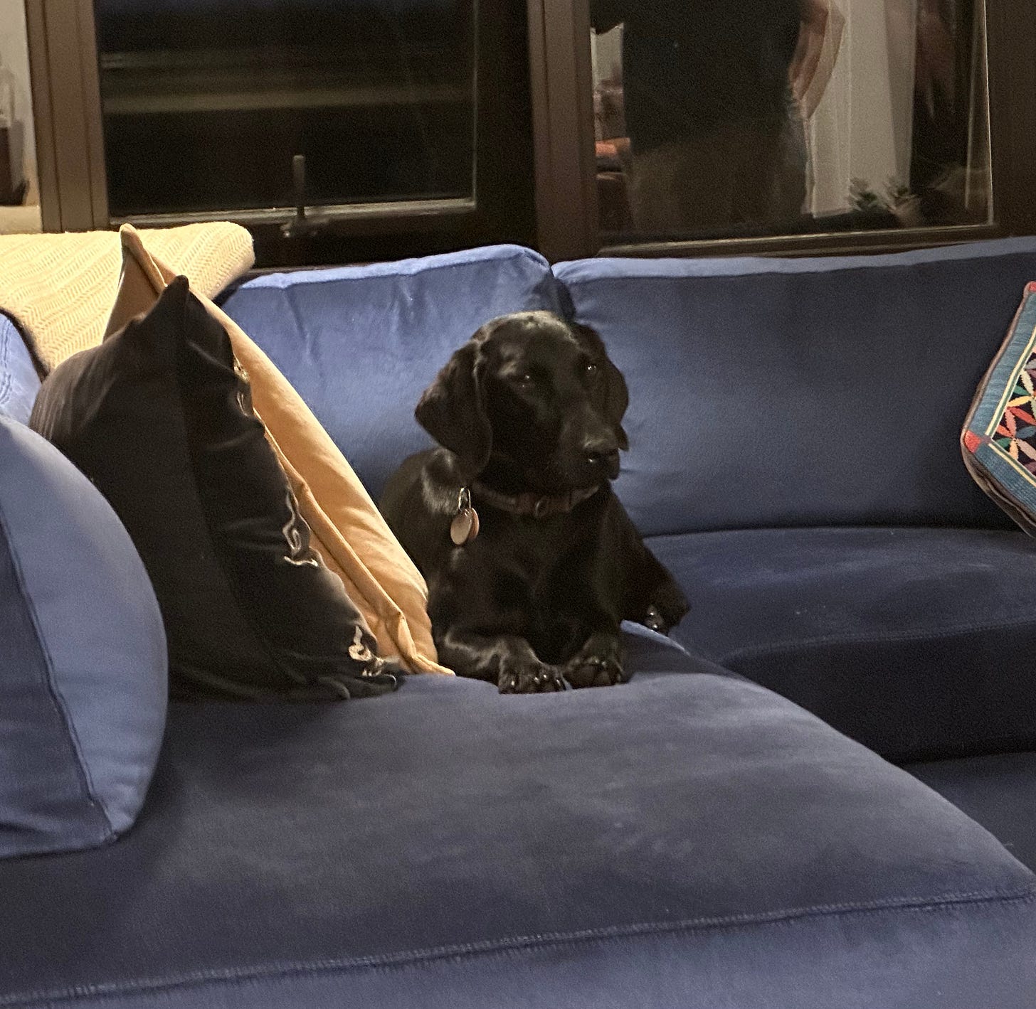 How transit-oriented development derailed