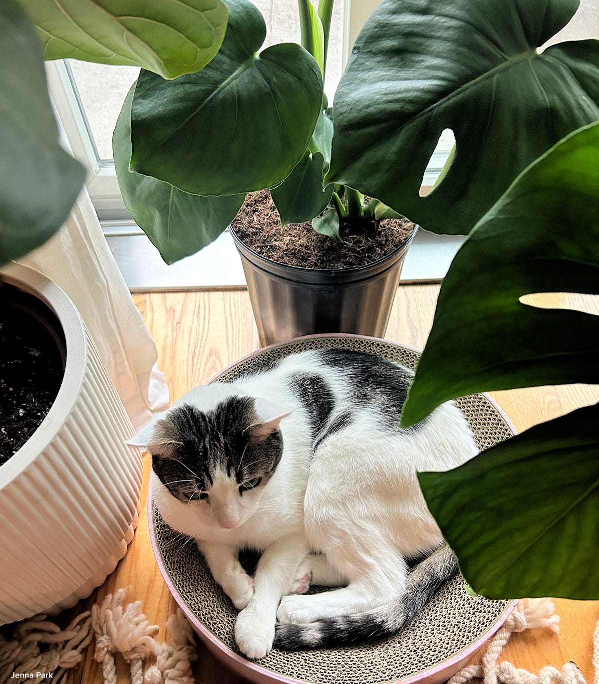 The friendship recession - by Jenna Park