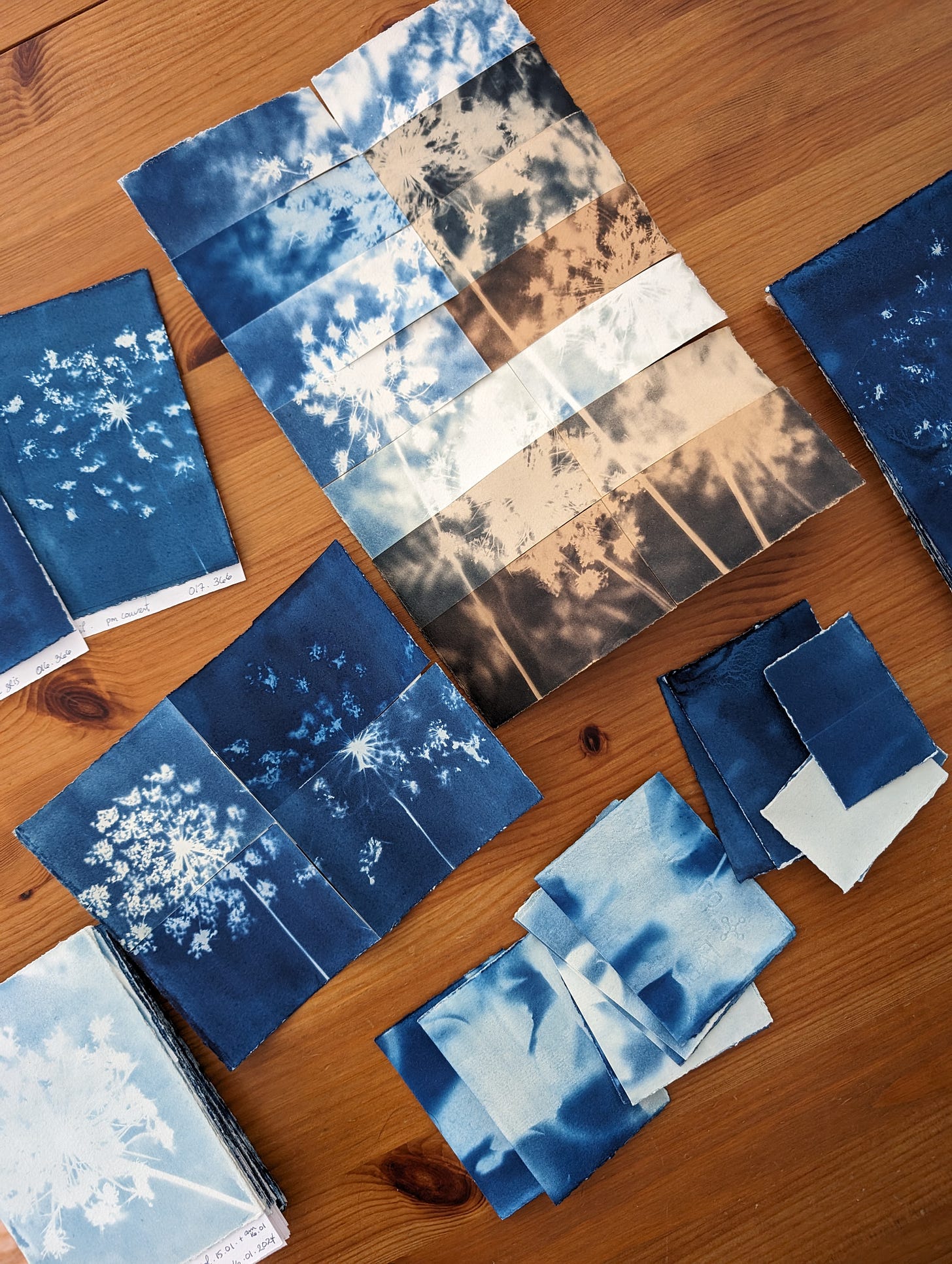 002 - Things I’ve learned with cyanotypes - by Stephanie