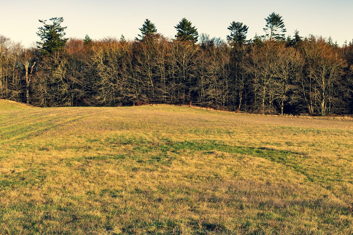 How a Photo Walk With Jon Hopkins' Singularity Became My Awakening