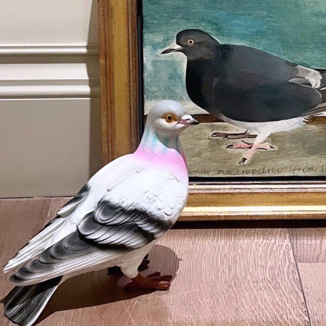 Of pigeons and paintings: how art history took flight