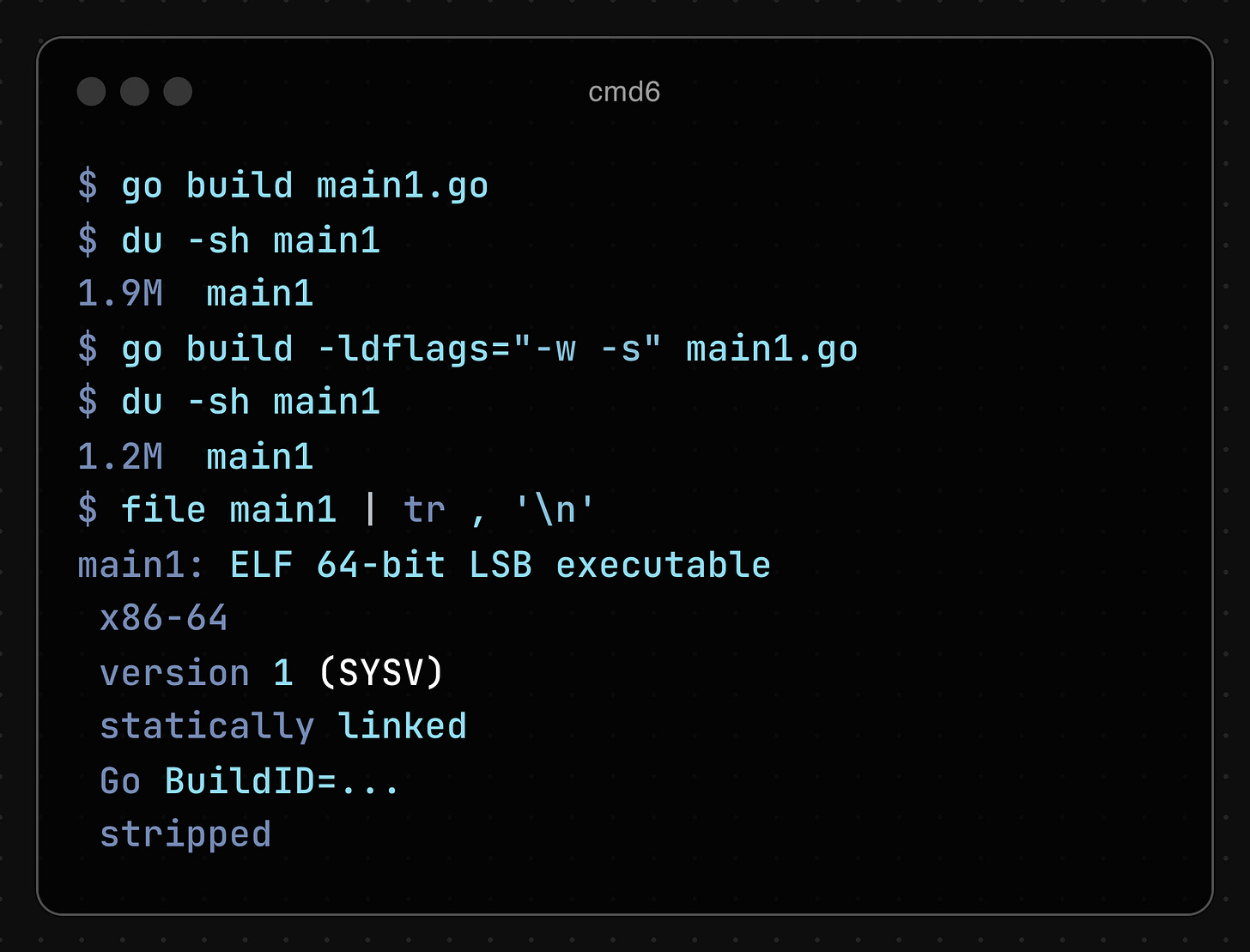 Statically and Dynamically Linked Go Binaries