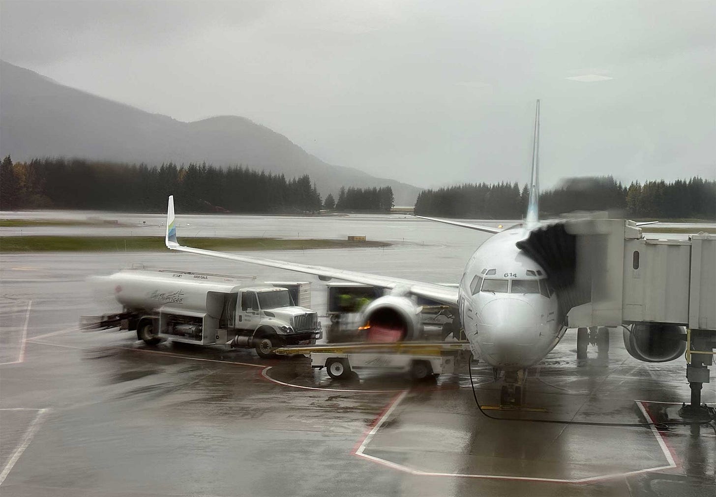 The Last Frontier: How a Mileage & Milk Run Led Me to Juneau, Alaska ...
