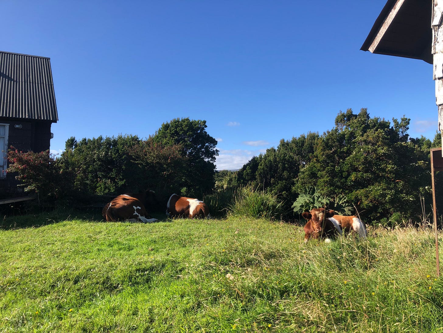 niall's travel blog | niall murphy | Substack