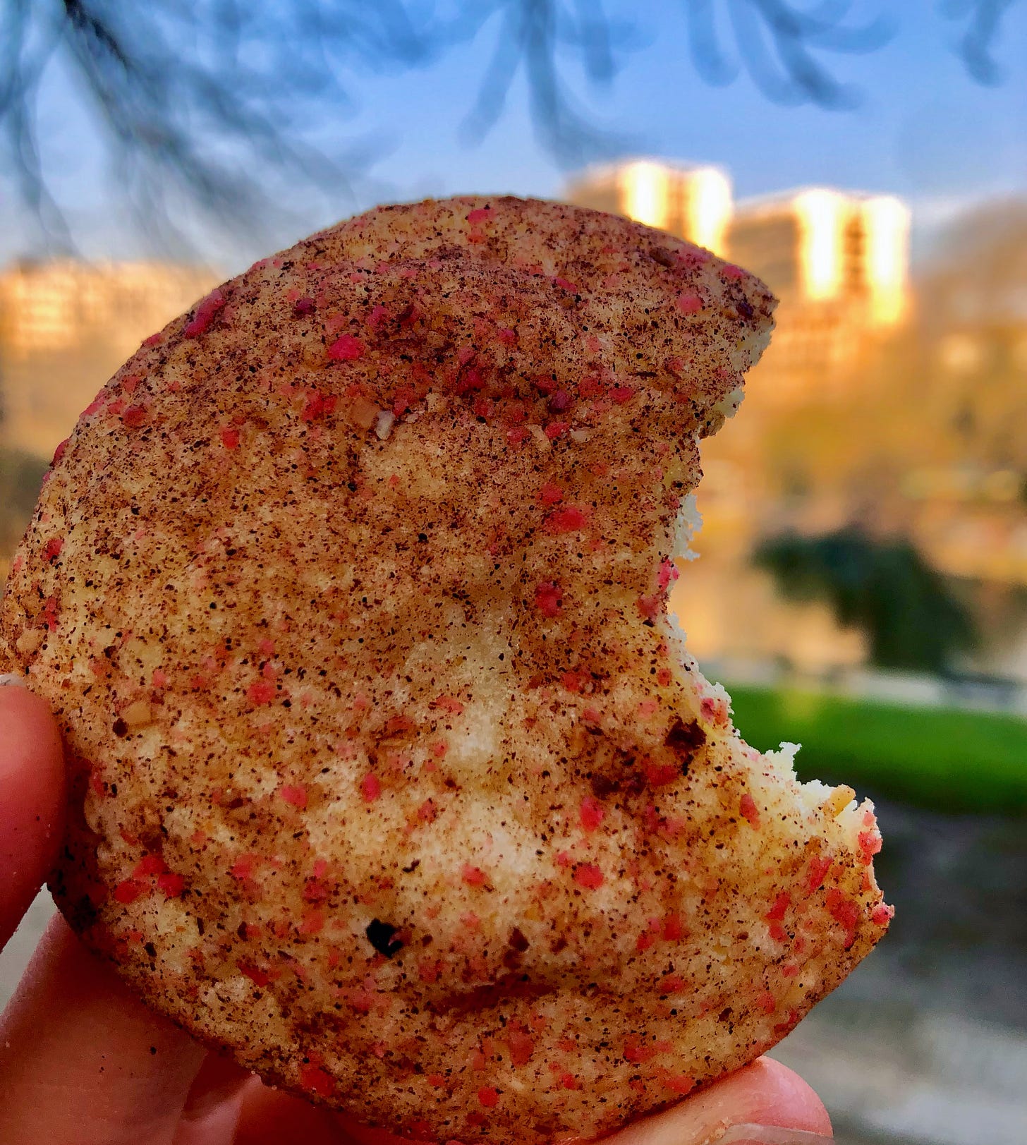 Pink Praline Snickerdoodles - by Sydney Wheeler