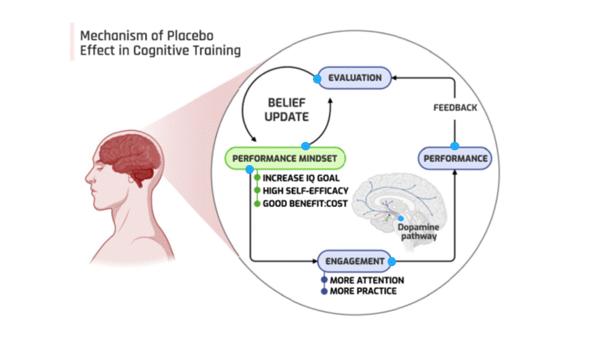 Effective Brain Training To Increase IQ & EQ in 3 Diagrams