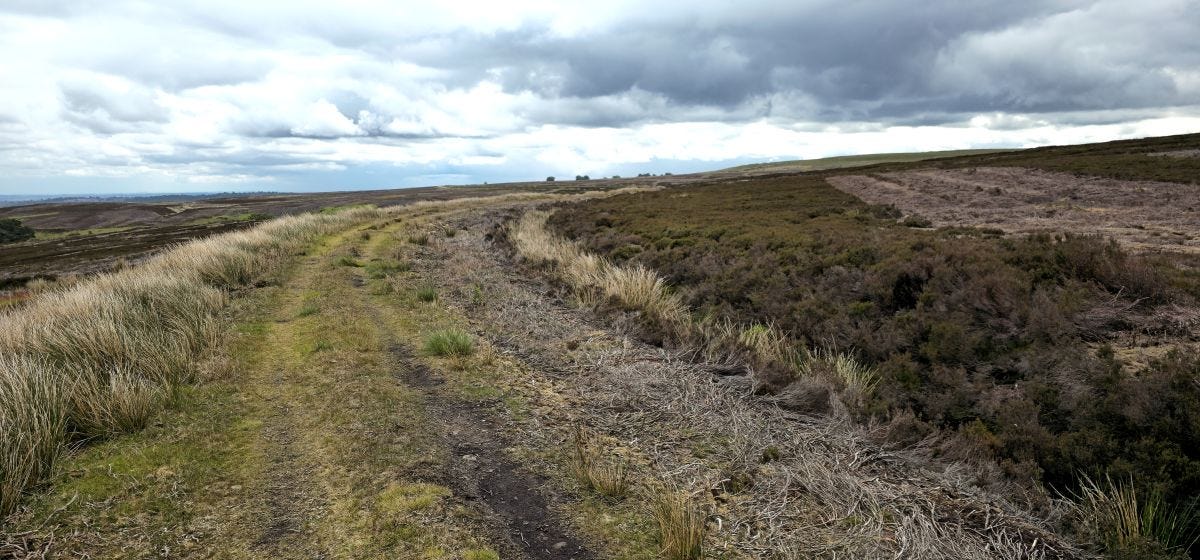 Moscar Moor: a blight on the Peak District - Protect the Wild