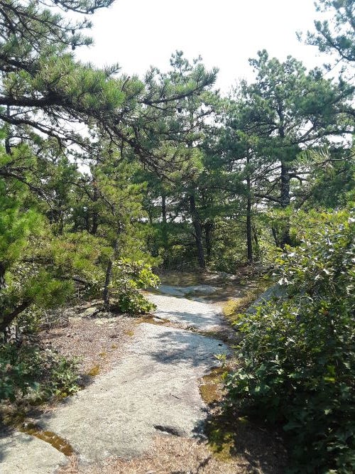 Hiking Arcadia Management Area in Rhode Island - by Sharon
