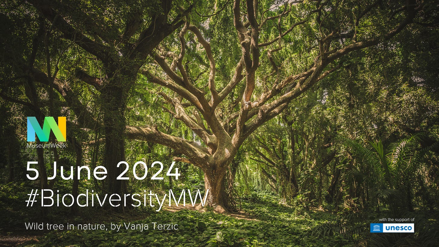 MuseumWeek 2024's hashtags - MuseumWeek Magazine