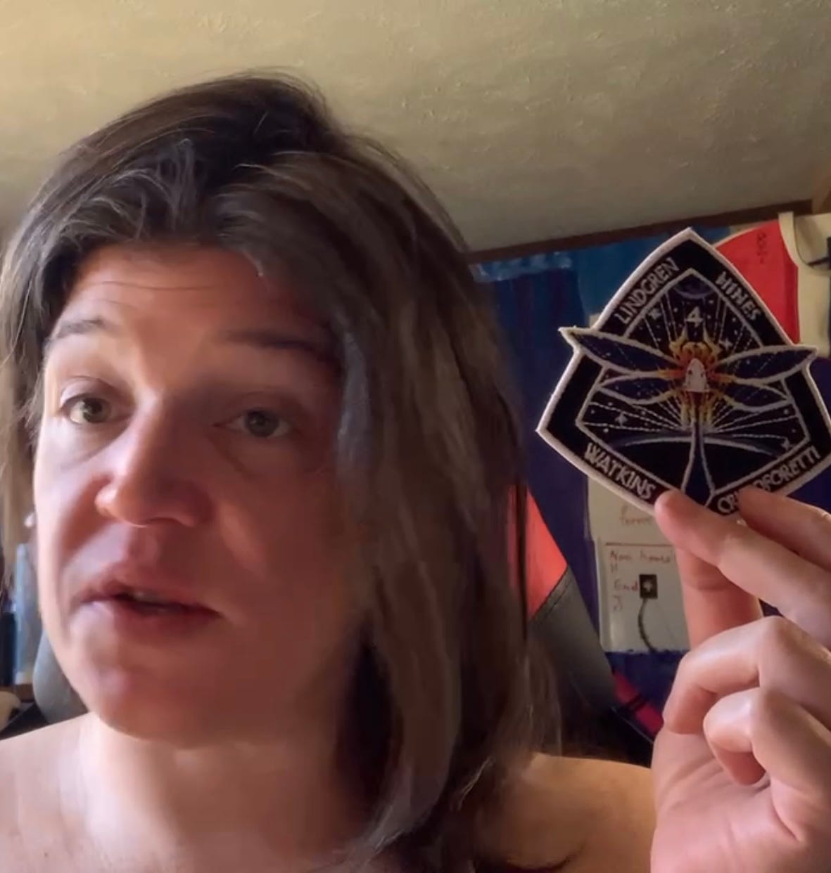 Sabrina Wallace & Netcentric Warfare - Transcript I