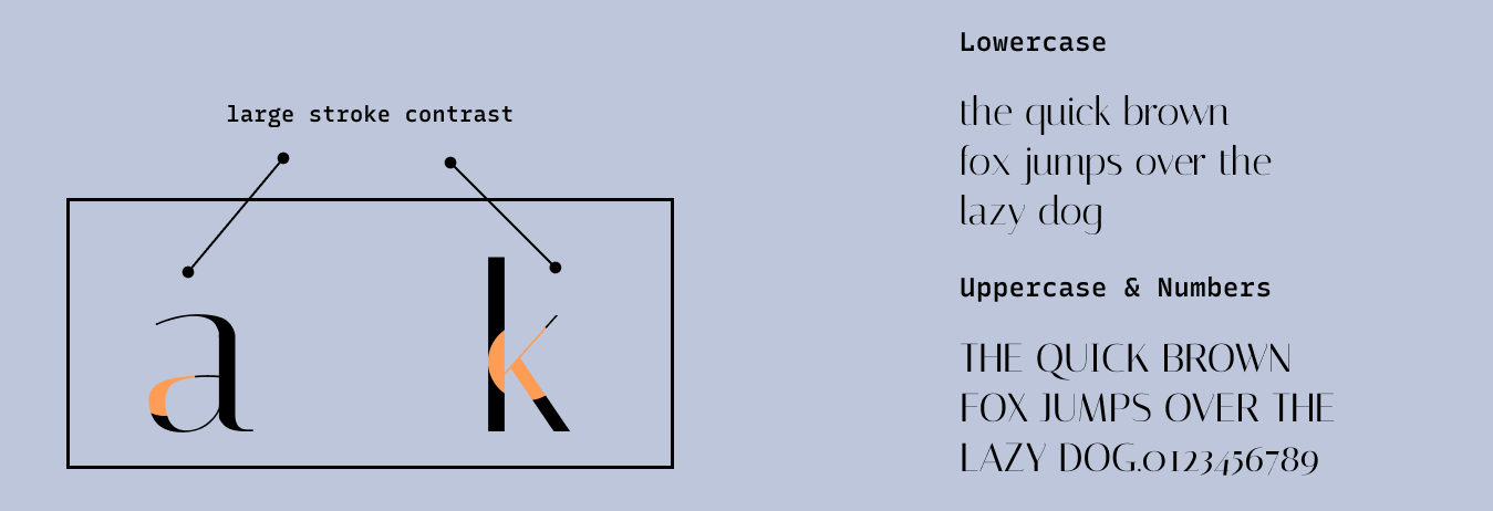 How to Use Italiana: A Elegant Font Perfect for Branding - FontDiscovery