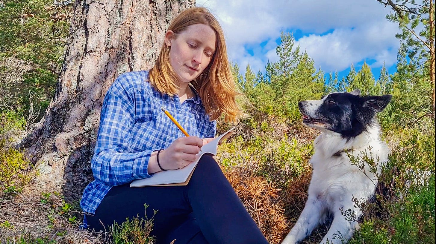 So You Want To Be A Writer By Molly Ella so-you-want-to-be-a-writer-by-molly-ella