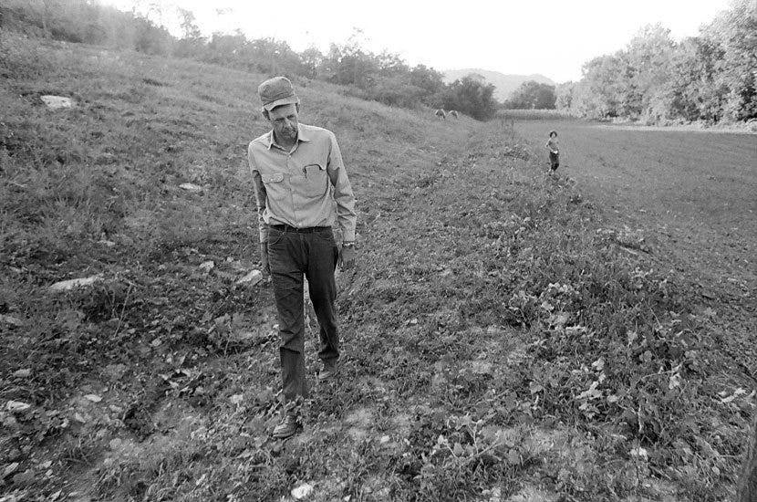 The Mad Farmer Manifesto: The First Amendment