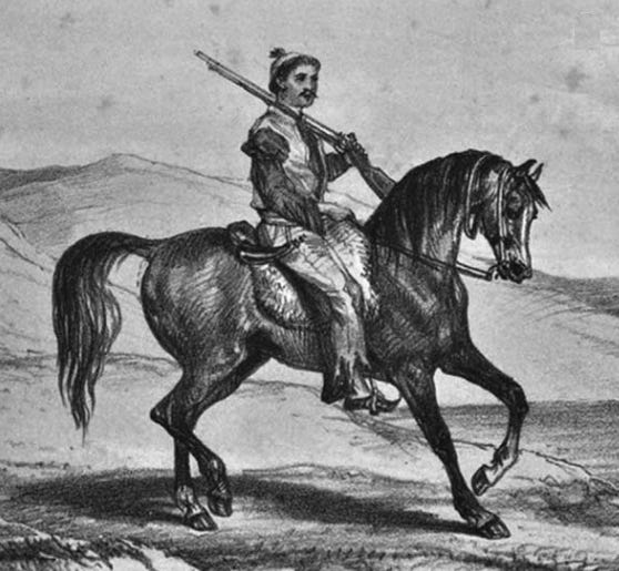 A history of Horses in the southern half of Africa ca. 1498-1900.