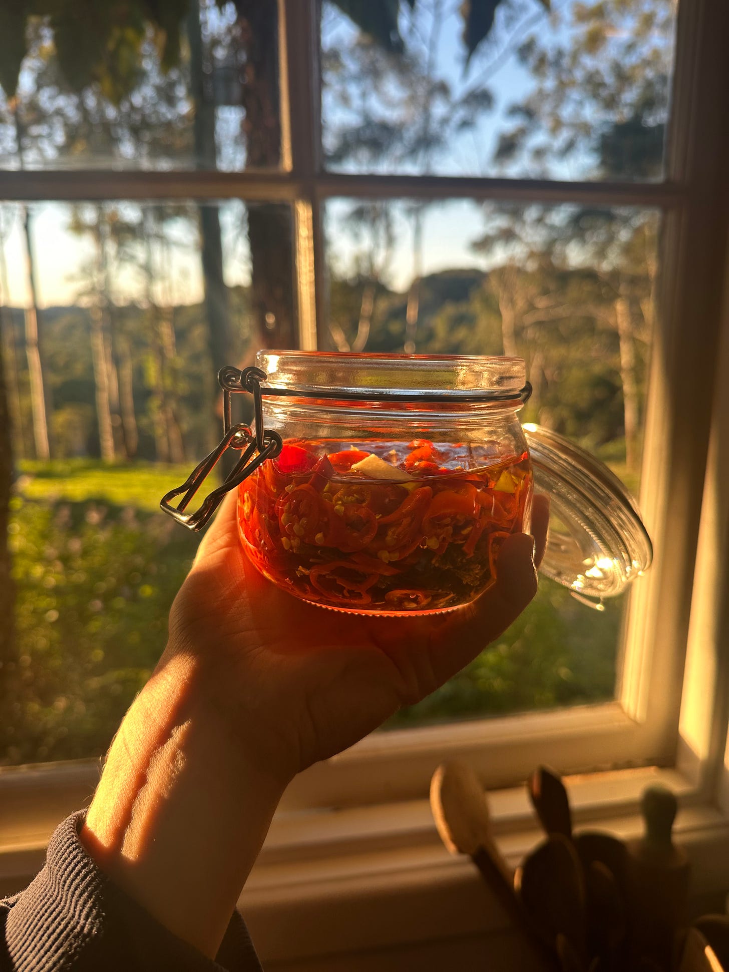 Pickled chilli - Carter’s Cooking