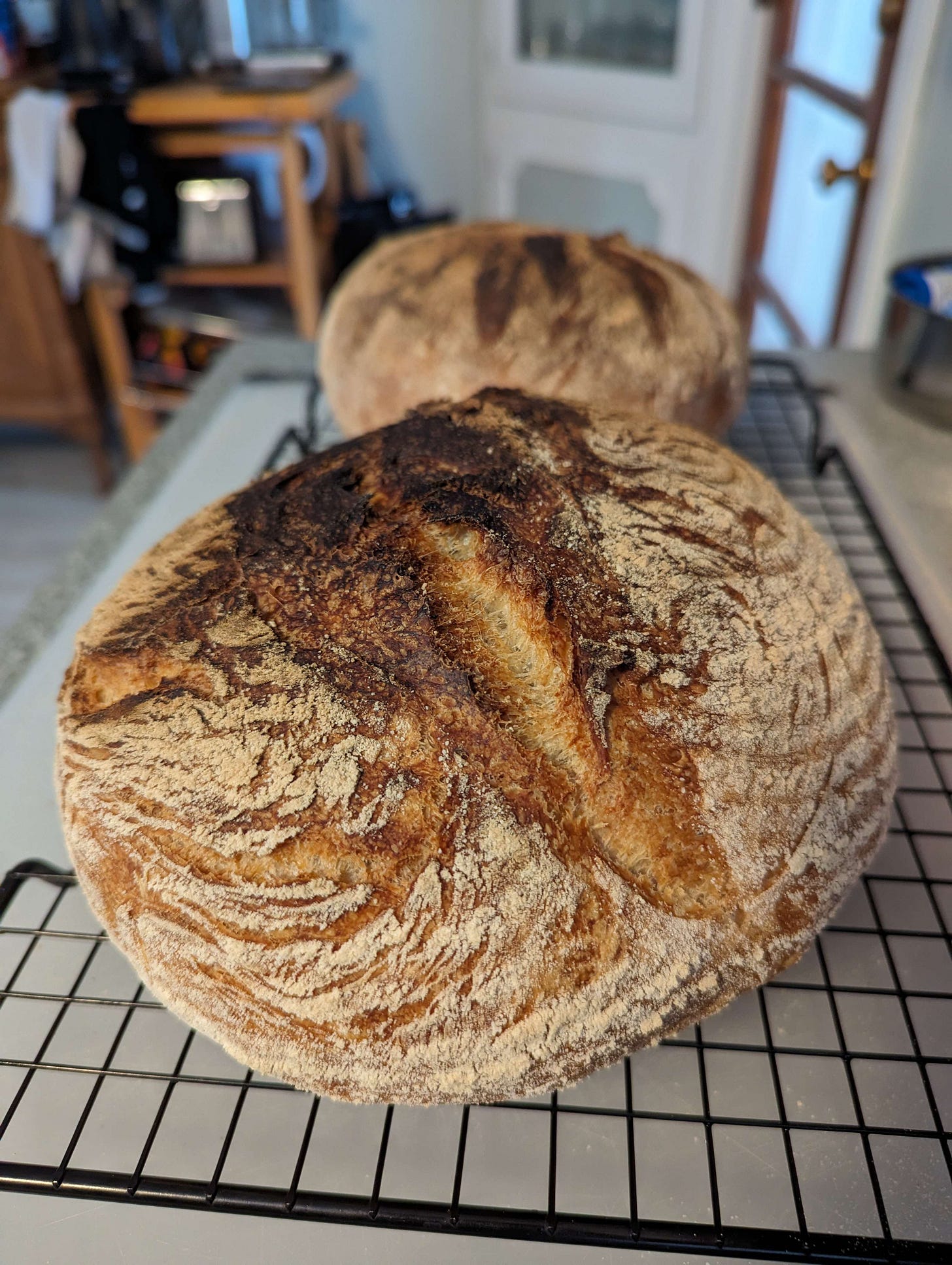 Visiting The Hobby Graveyard 🪦 - by Nadine Bearson