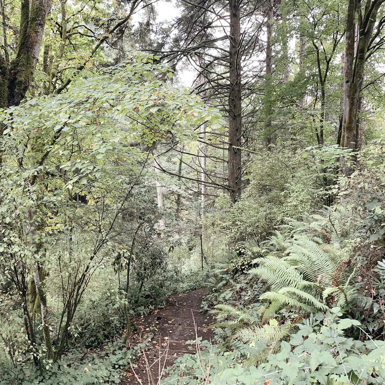 just another bleeding heart poem - by Sarah Gawthrop