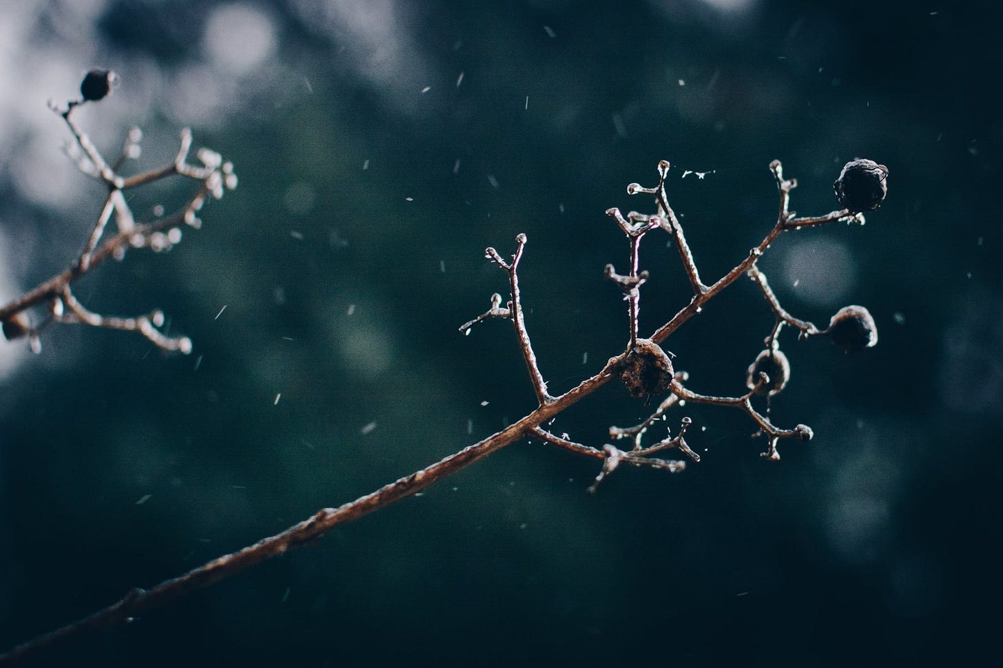 Reflections - by RJ Kane - RJ’s Substack