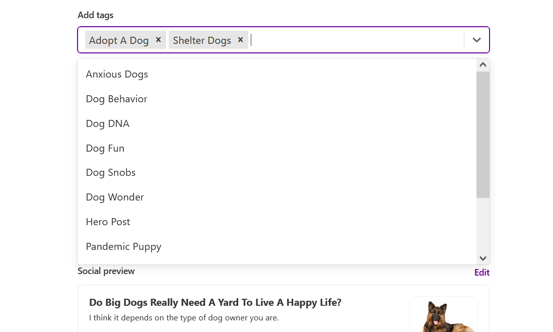 You Might Not Know How Useful Substack Post Tags Are