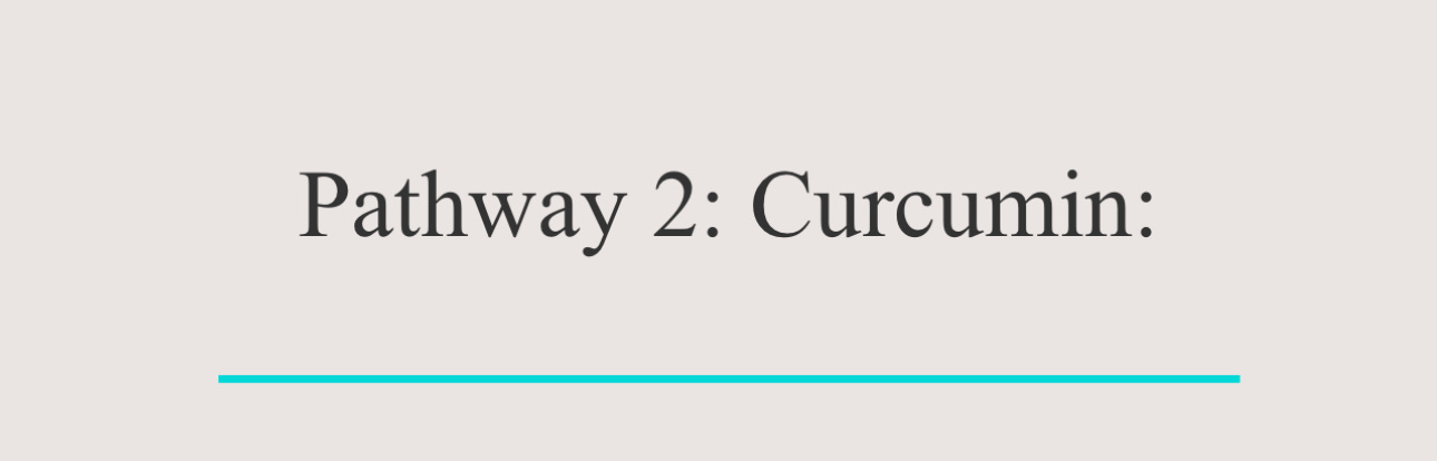 The Joe Tippins Cancer Protocol - by Dr Margaret Aranda
