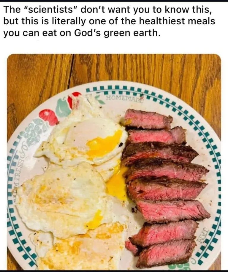 Ann Barnhardt Meme Barrage - Edwin’s Newsletter #1