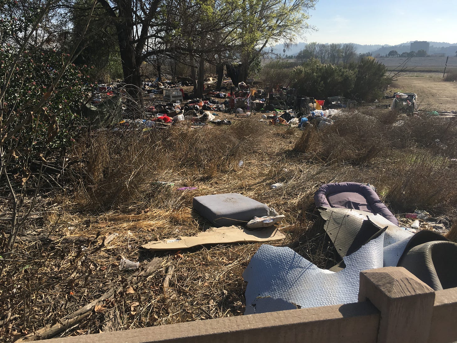 A Few Notes on the Los Angeles-Model Favela - by Chris Bray