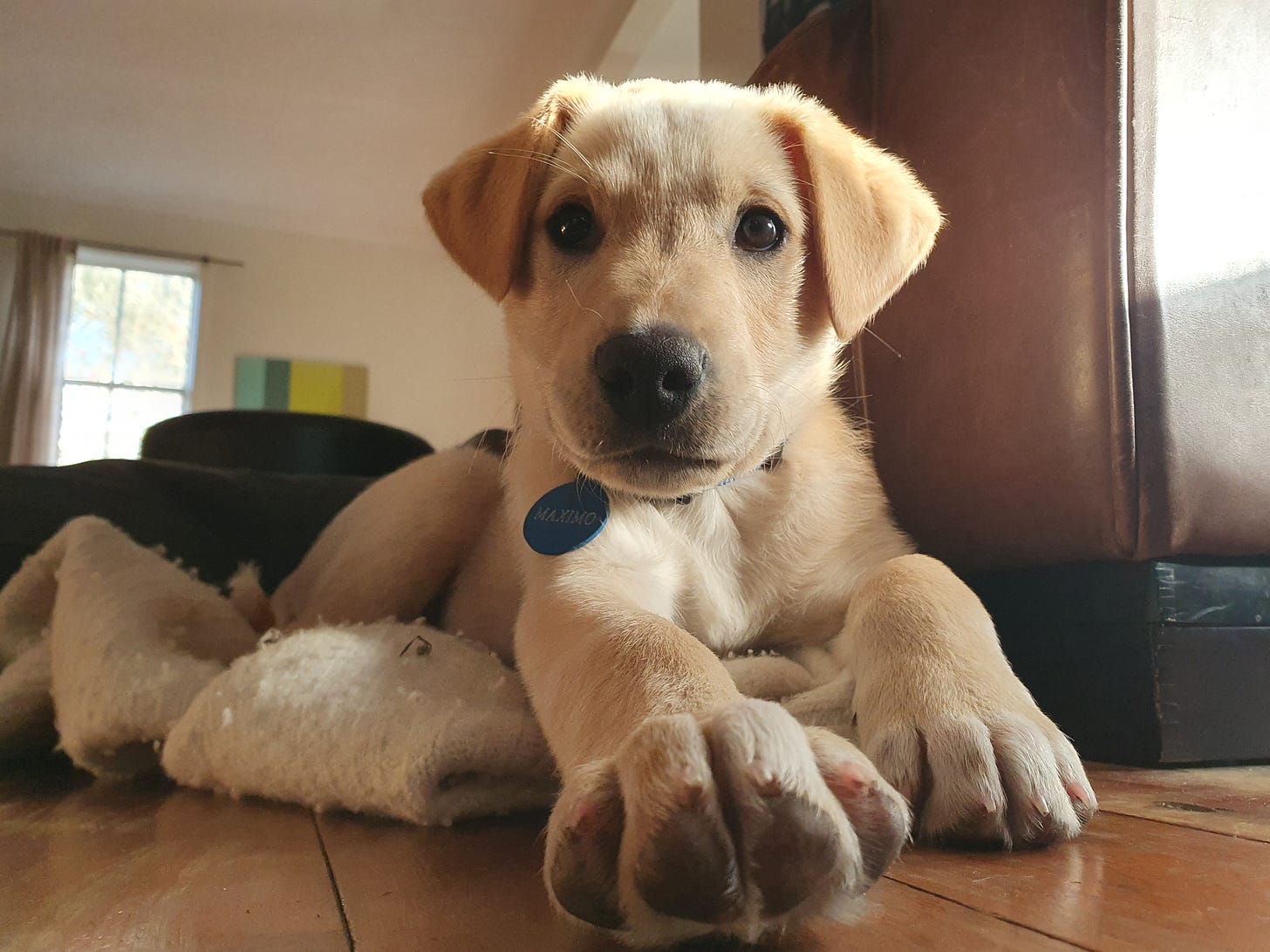 Beware the Blood Covenant - Alan Baxter