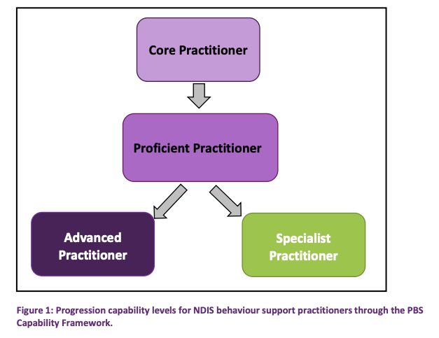 The Four Levels of a Behaviour Support Practitioner - An Overview