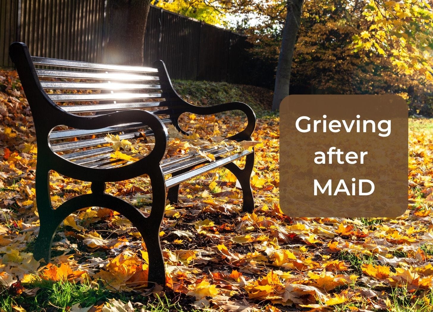 Grieving after MAiD. Thoughts for families and friends who've lost ...