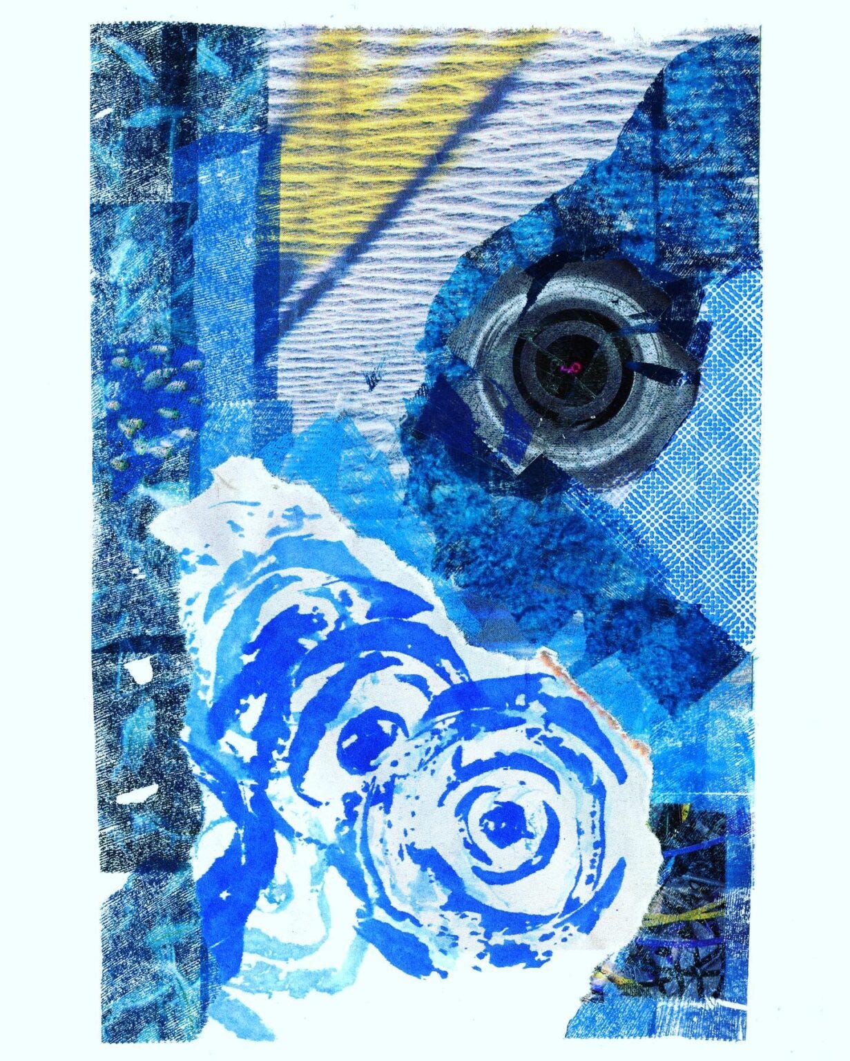 Professional human loser - Austin Kleon