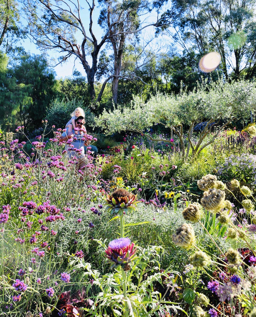 The Garden Gadabout - The Garden at Moorfield