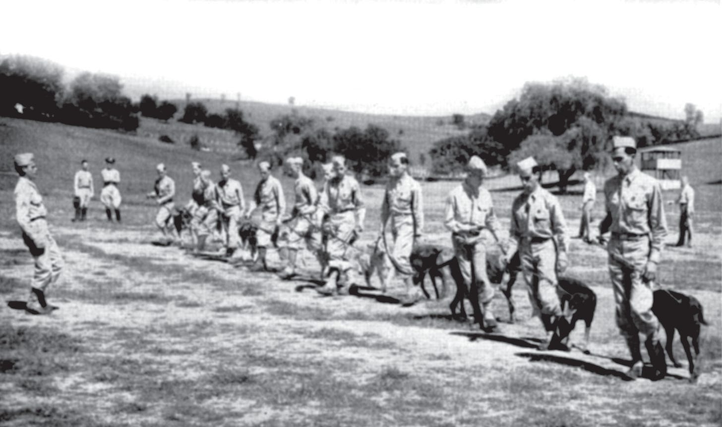 'Military Dogs of World War II' - by Martin Cherrett