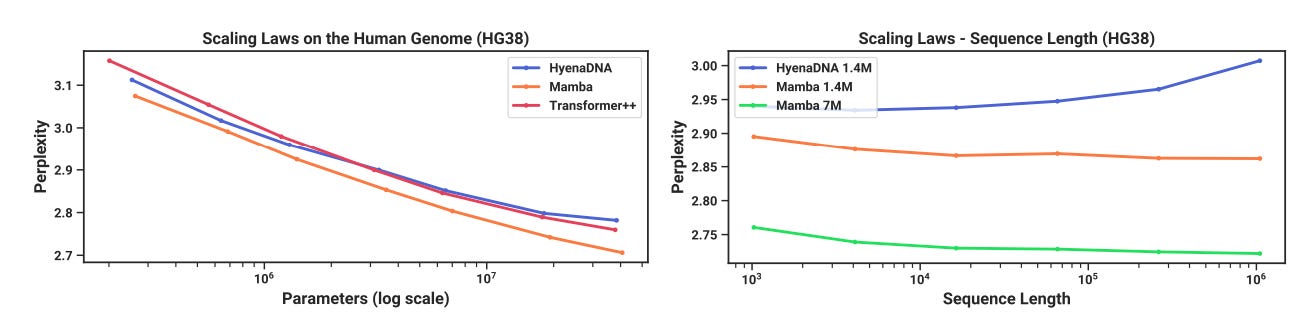 The Mamba Effect: State Space Models Taking on Transformers