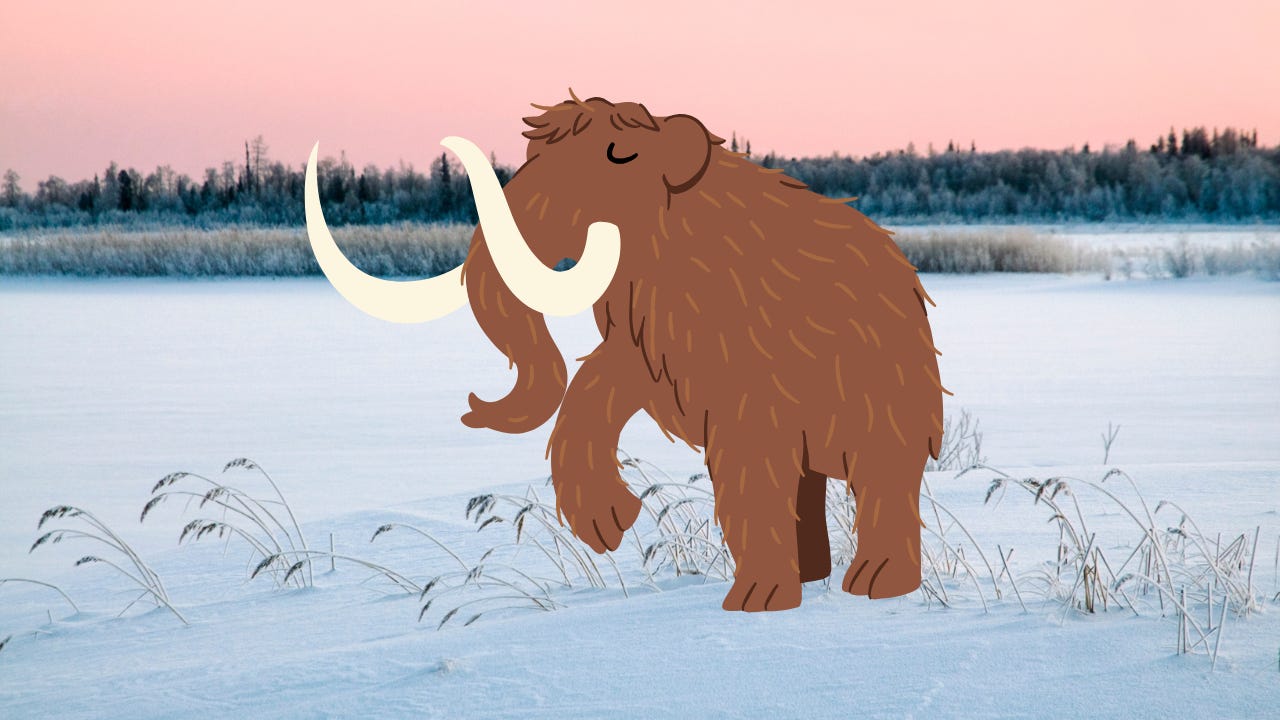 Melting Permafrost Reveals Cute Ice-Age Animals — and Climate Challenges?