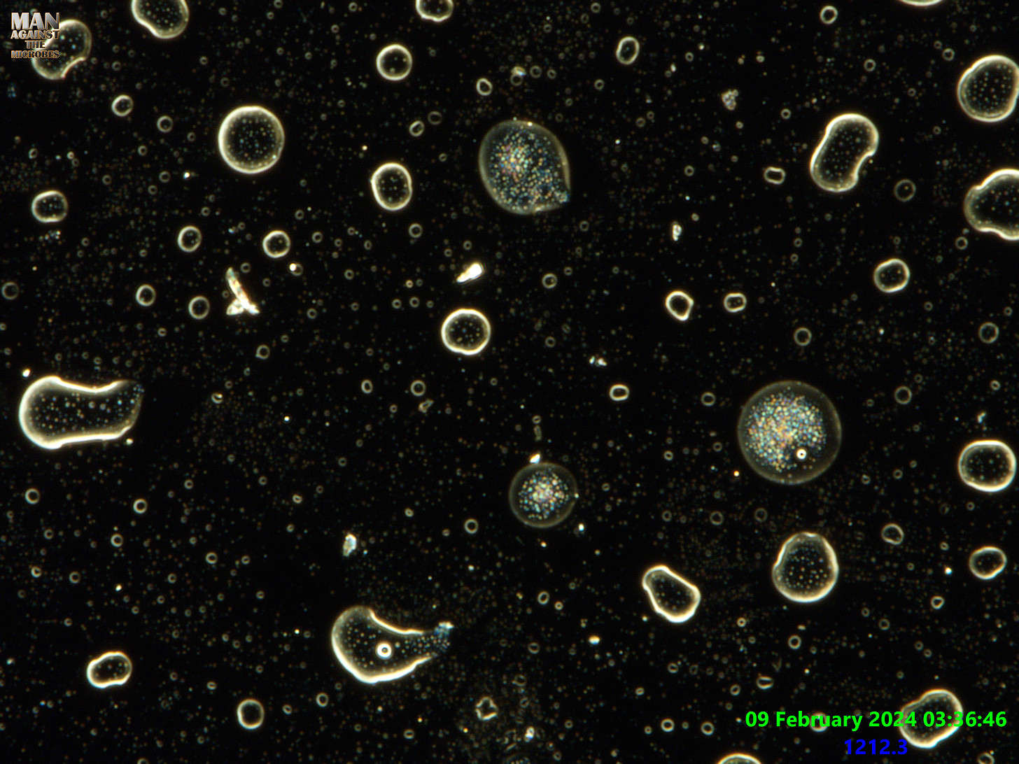 Groundbreaking morphological finds from swab samples.