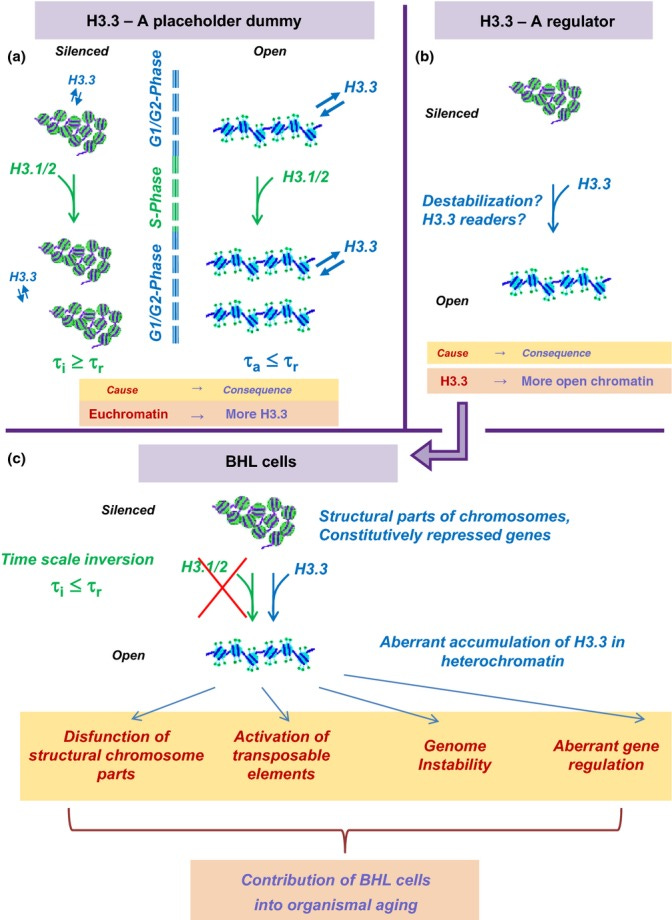 PRRARSV – The Furin Cleavage Site: A Nuclear Localization Signal that ...