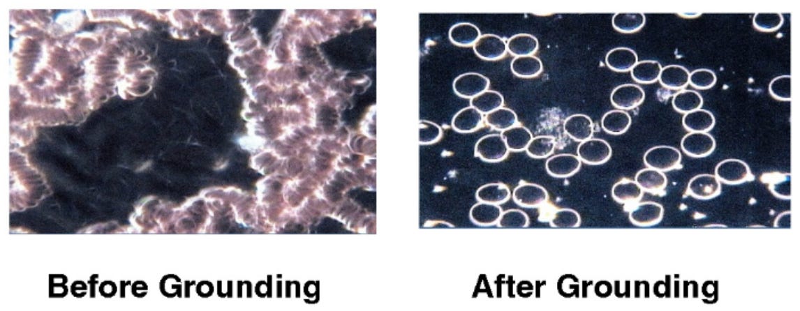 🥩 Grounding - Burnt Ends Newsletter