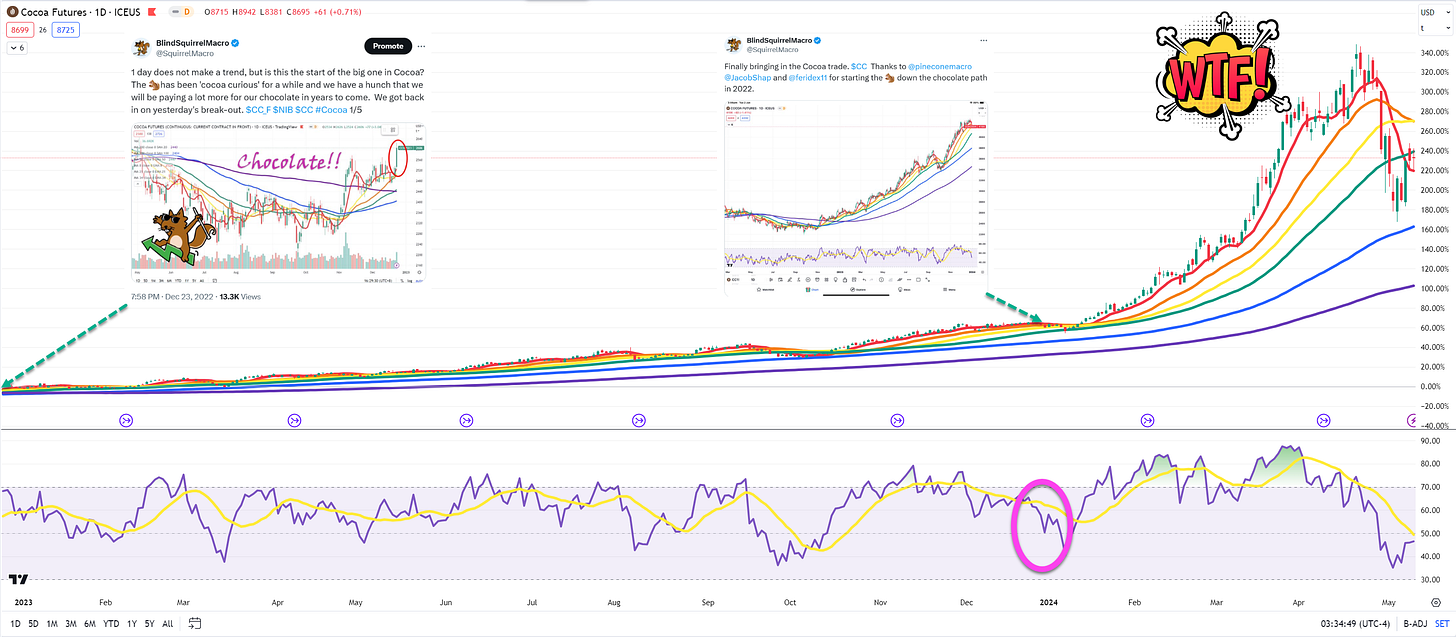 Trending: The Squirrel and the Turtle