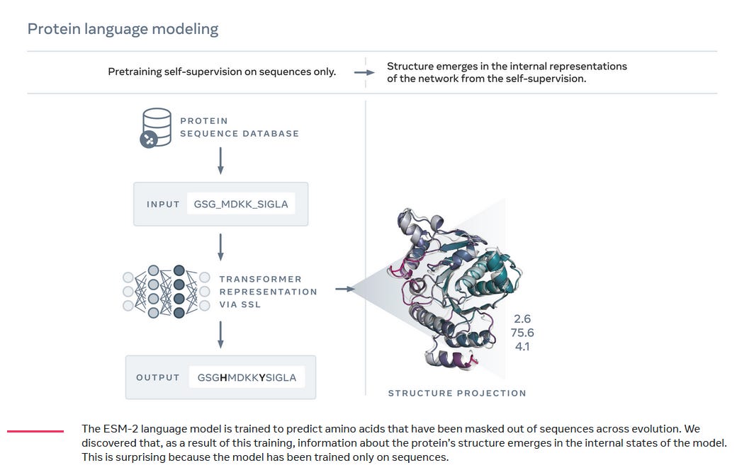 Latent optima - by Alex Telford - Liveware