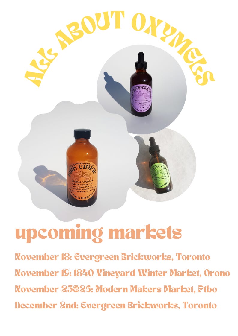 What is an Oxymel?! - by Marissa's Herb Garden