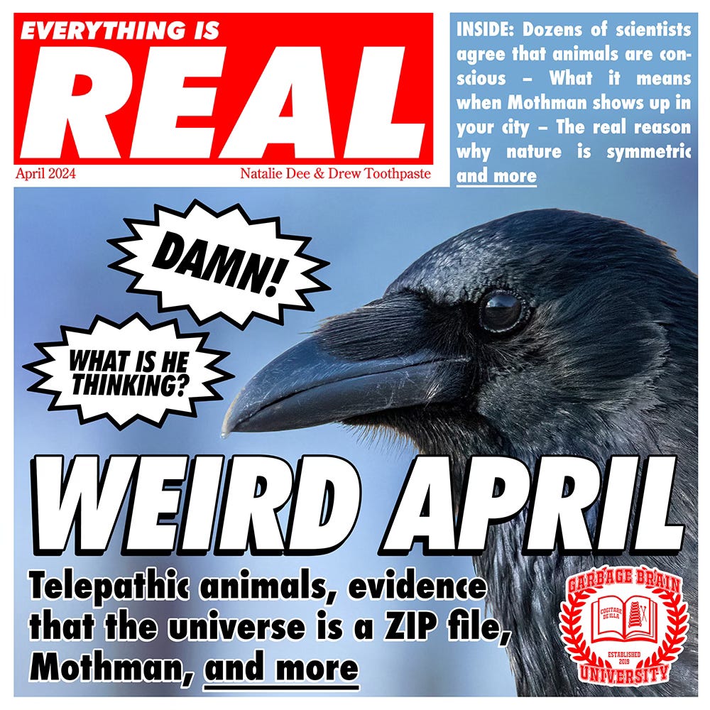 Garbage Brain University | Drew & Natalie Dee | Substack