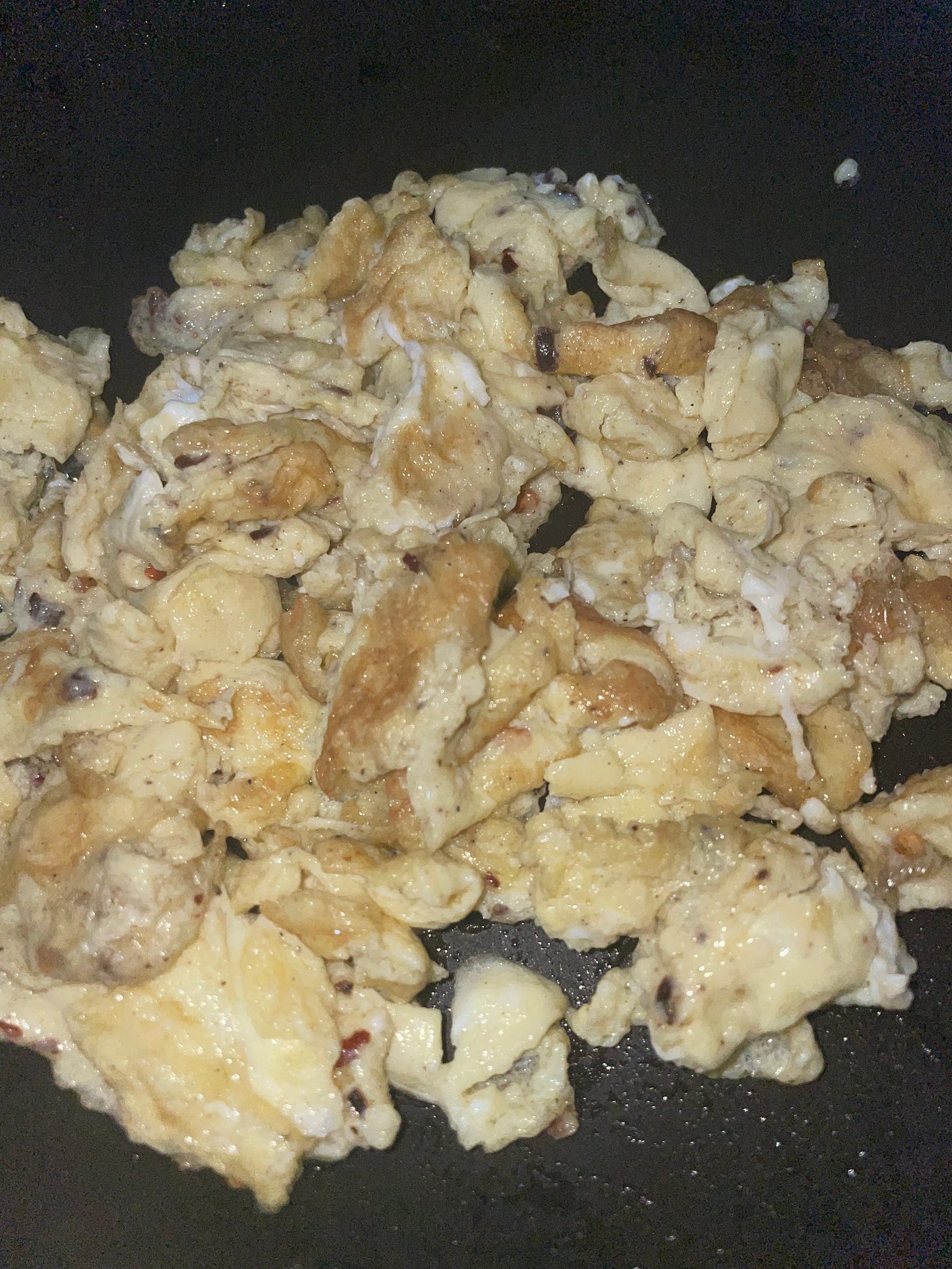 Cracking the Shell - by Lunch_in_Lit